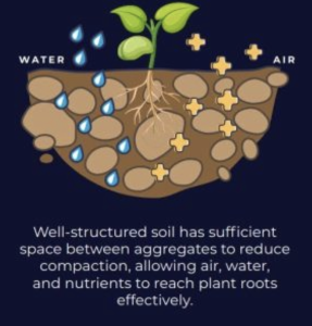 6 Strategies to Increase Crop Yields Without Overspending